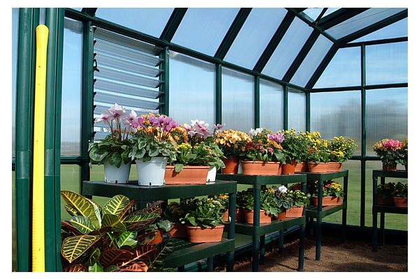 4SeasonGreenhouse. Rion Green Giant Greenhouse Kit 8.5 ft. X 12 ft.