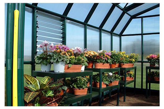4SeasonGreenhouse. Rion Green Giant Greenhouse Kit 8.5 ft. X 12 ft.
